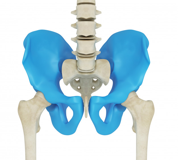 Dolor pélvico y perineal | Blue Medical Guatemala